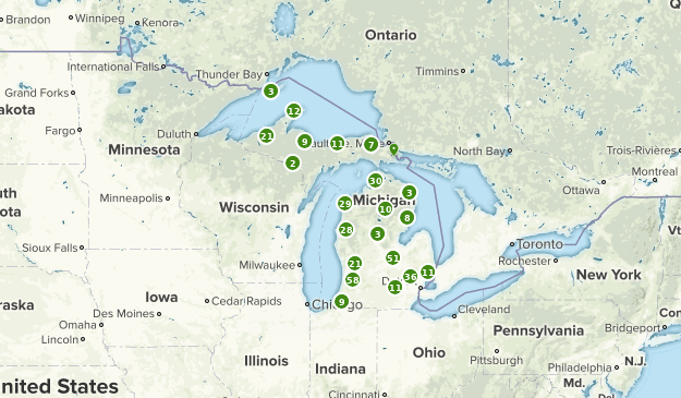Best Bird Watching Trails in Michigan | AllTrails