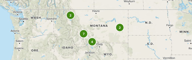 Best off road driving trails in Montana | AllTrails