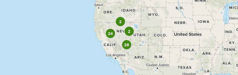 Best 10 Off Road Driving Trails in Nevada | AllTrails