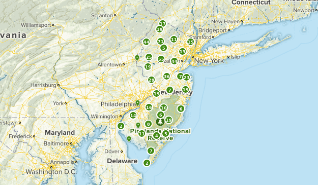 Best Forest Trails in New Jersey | AllTrails
