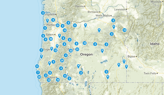 Best Dog Friendly Trails in Oregon | AllTrails
