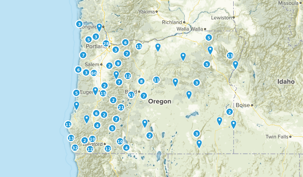 Best Dog Friendly Trails in Oregon | AllTrails