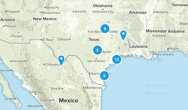 Best Beach Trails in Texas | AllTrails