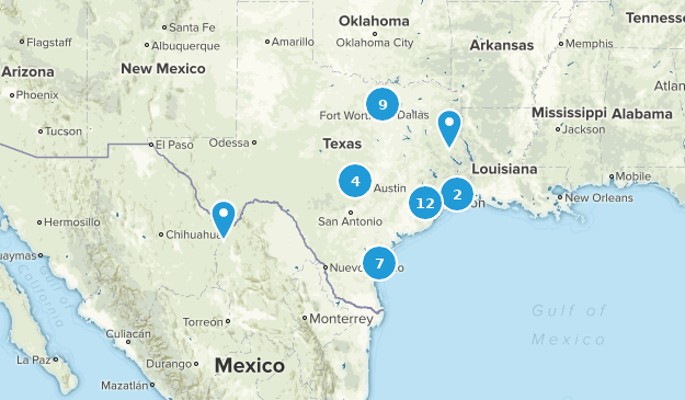 Best Beach Trails in Texas | AllTrails