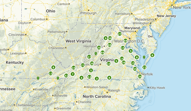 Best Bird Watching Trails in Virginia | AllTrails