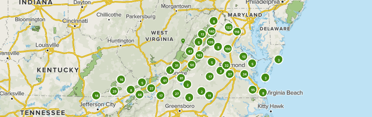 Best forest trails in Virginia | AllTrails