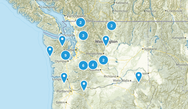 Best Off Road Driving Trails in Washington | AllTrails