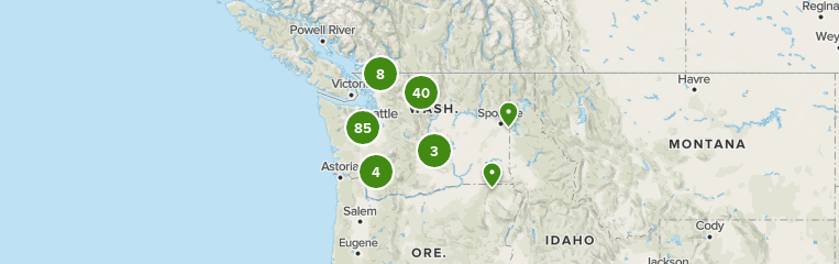 Best off road driving trails in Washington | AllTrails