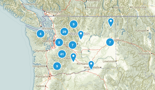 Best Snowshoeing Trails in Washington | AllTrails.com