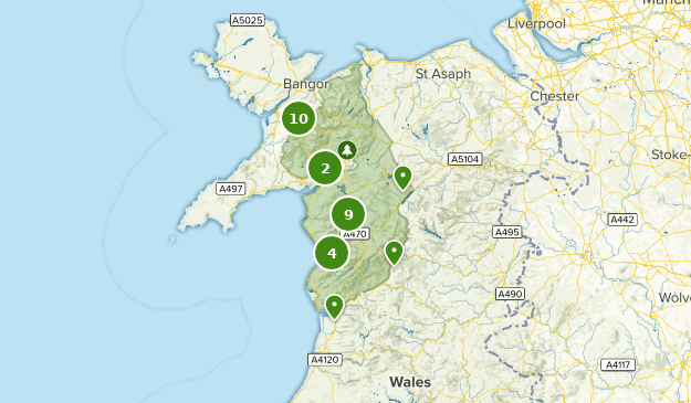Best Forest Trails in Gwynedd Wales | AllTrails