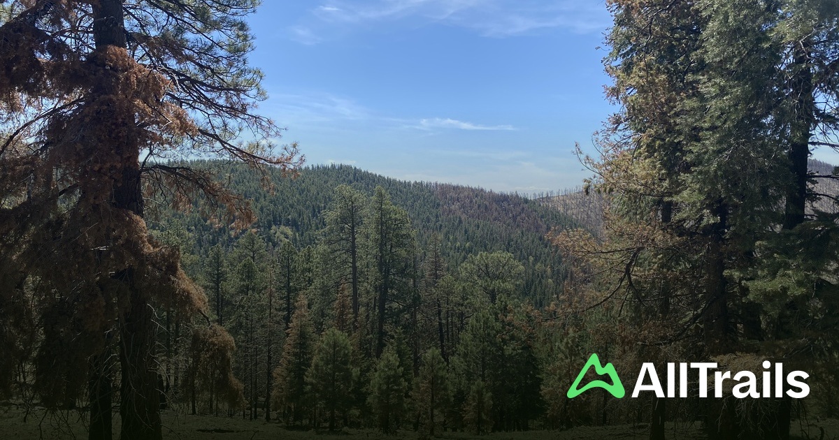 Flagstaff Area Trails | List | AllTrails