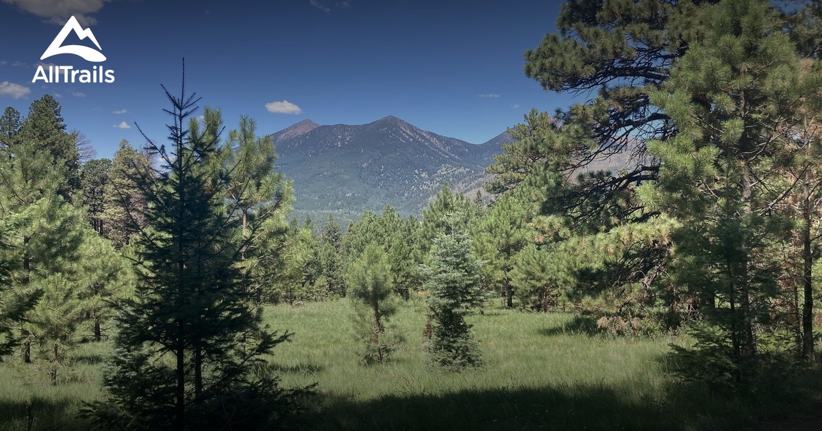 Flagstaff Area Trails | List | AllTrails