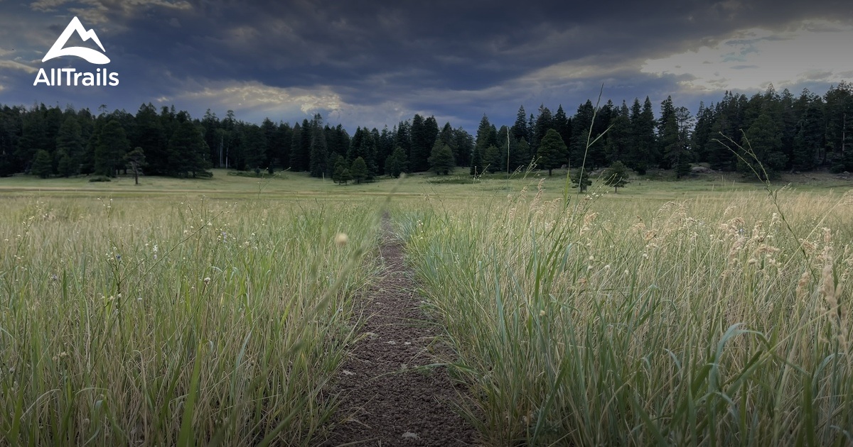 Flagstaff Area Trails | List | AllTrails