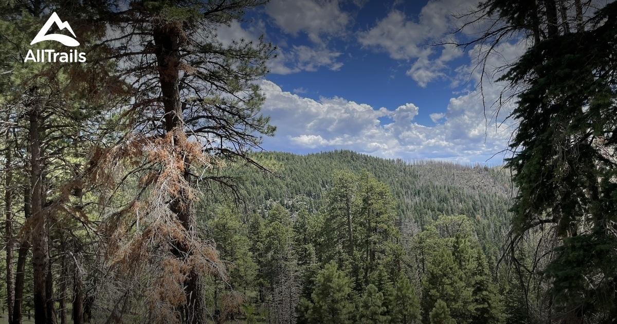 Flagstaff Area Trails | List | AllTrails