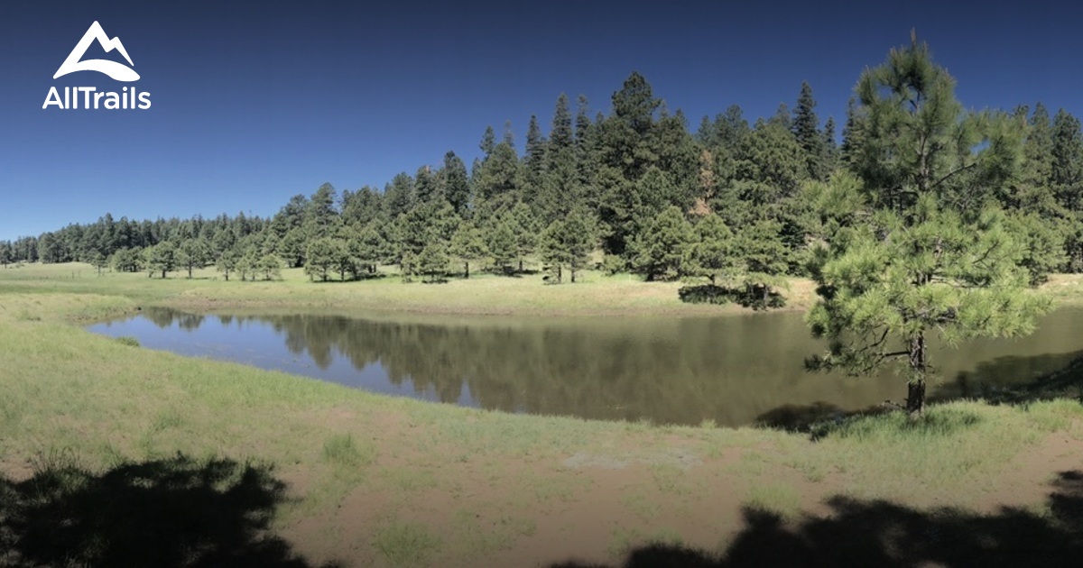Flagstaff Area Trails | List | AllTrails