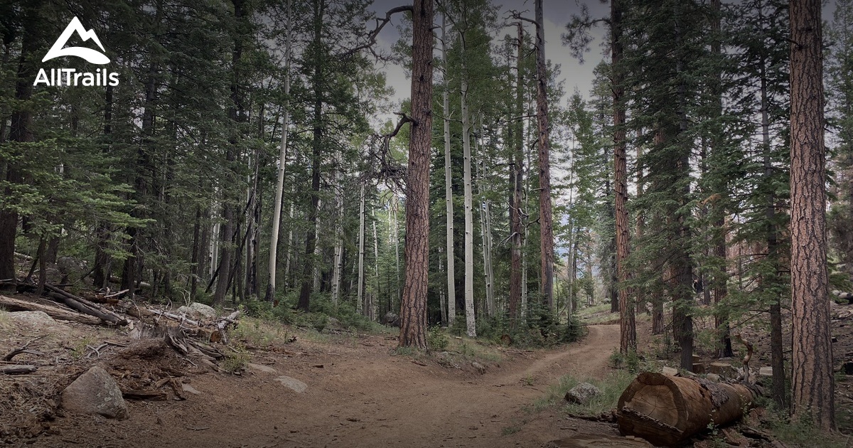 Flagstaff Area Trails | List | AllTrails