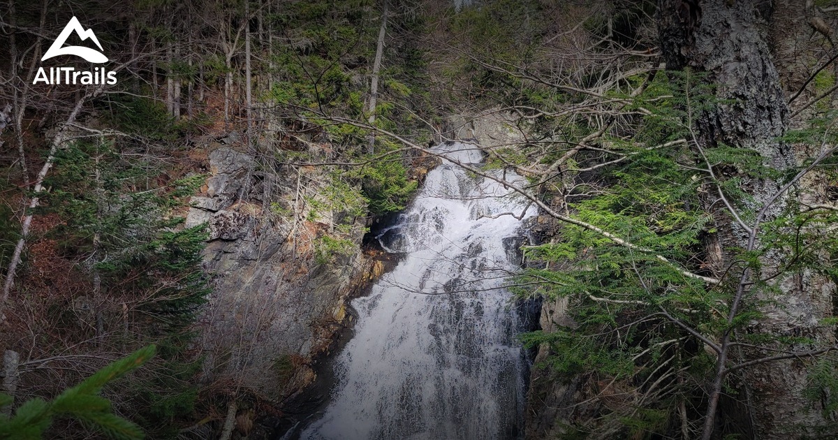 Mt Washington Trails | List | AllTrails