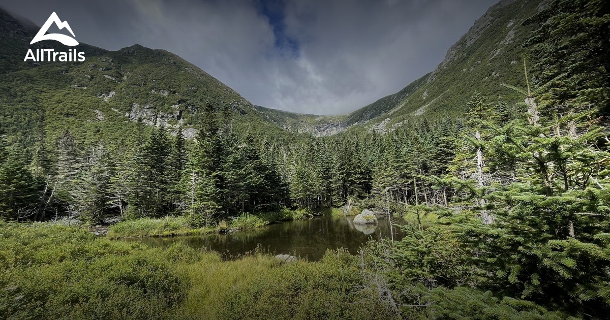 Mt Washington Trails | List | AllTrails