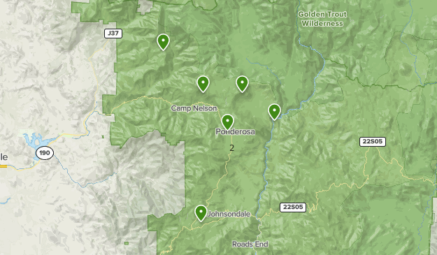 Quaking Aspen List Alltrails