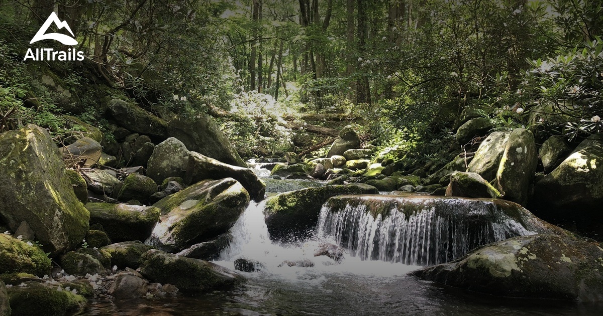 Mt. LeConte Lodge Trails | List | AllTrails