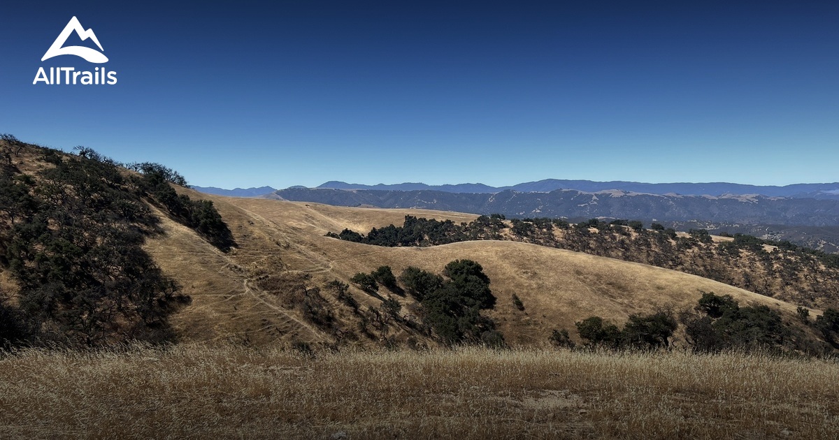 Toro Park | List | AllTrails