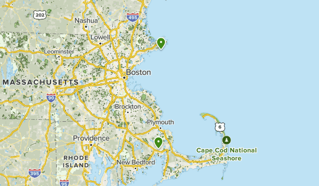 Myles Standish State Forest | List | AllTrails