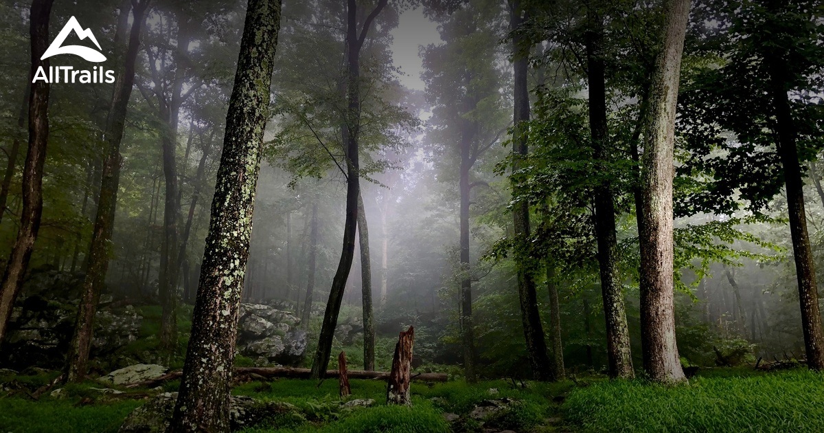 Cunningham Falls State Park | List | AllTrails