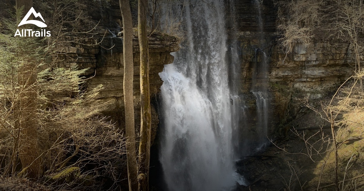 Tennessee Waterfalls | List | AllTrails