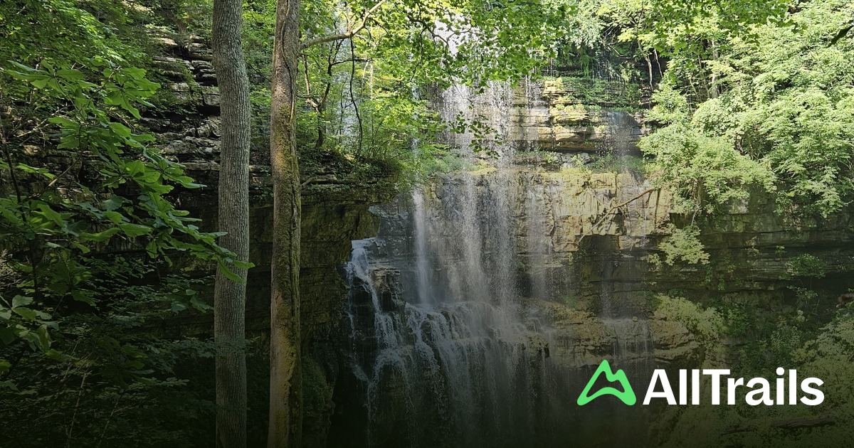 Tennessee Waterfalls | List | AllTrails
