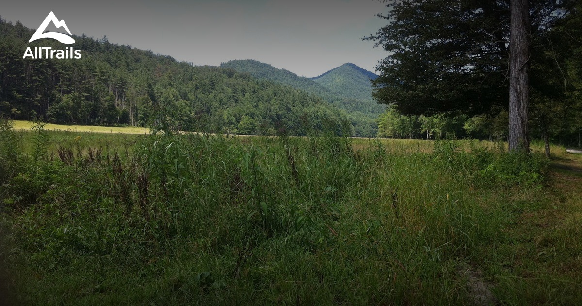 WAYNESVILLE HIKES | List | AllTrails