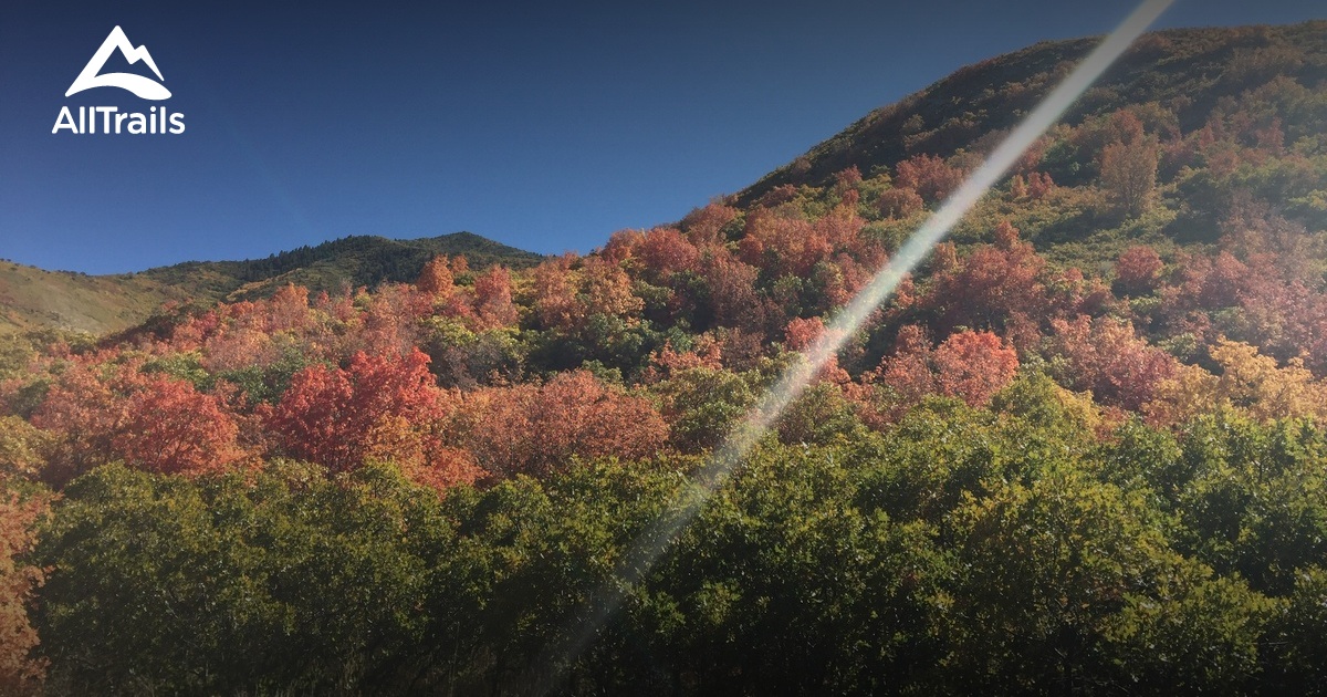 Mt Raymond | List | AllTrails