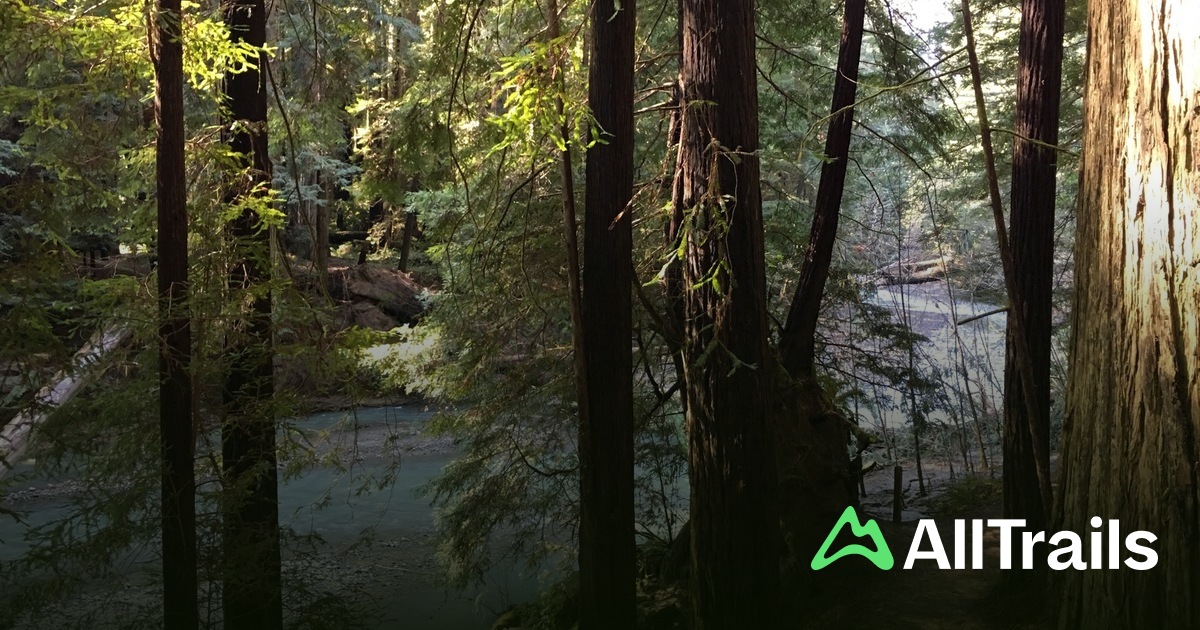 Red Woods | List | AllTrails