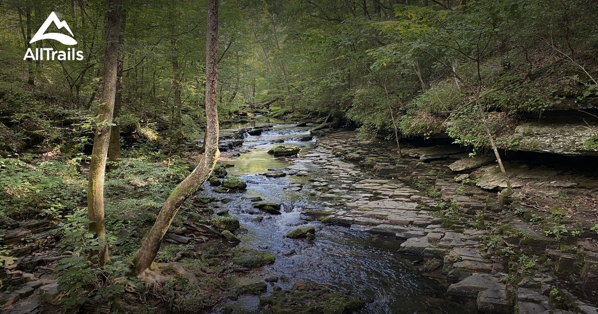 Tennessee Day Hikes | List | AllTrails