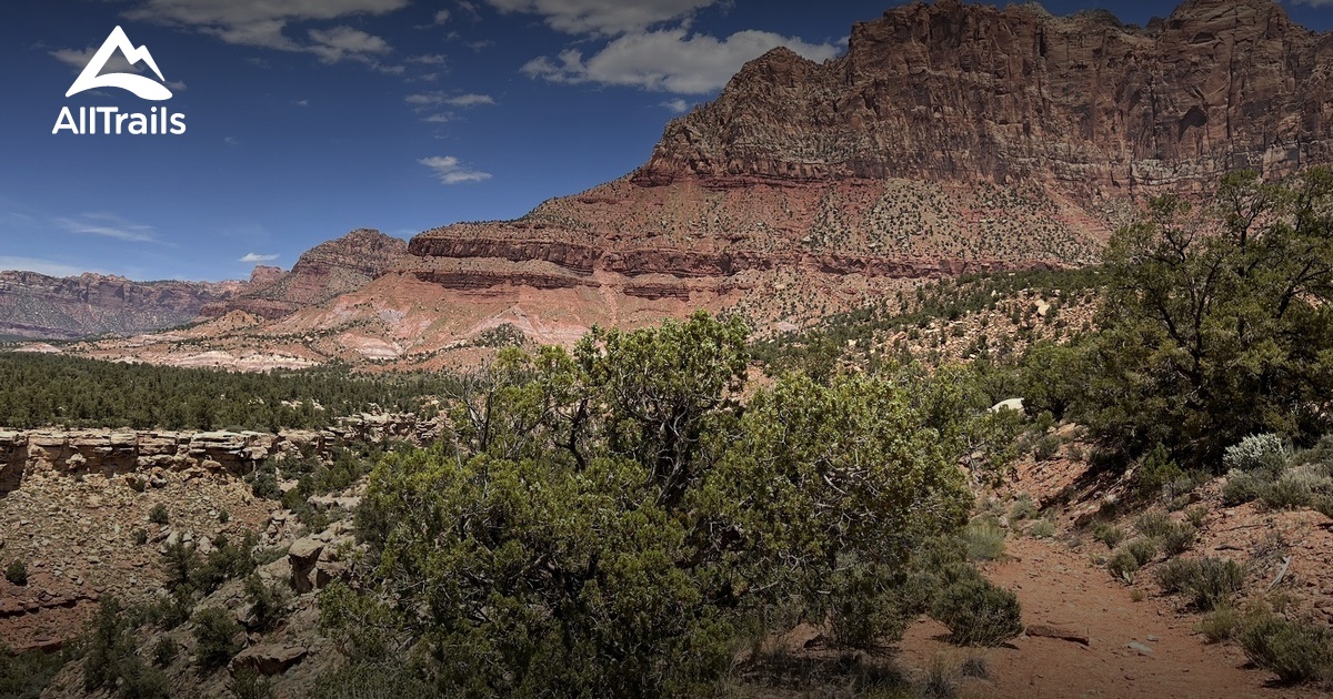 Zion Trails | List | AllTrails