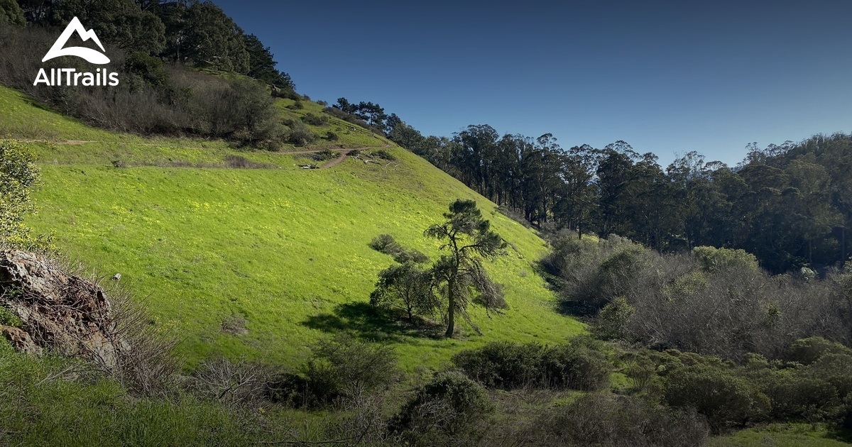 Frisco Trails | List | AllTrails