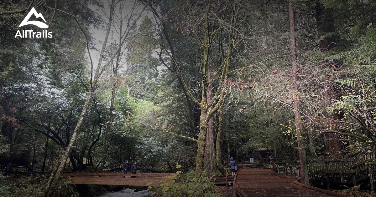 Marin County Trails | List | AllTrails