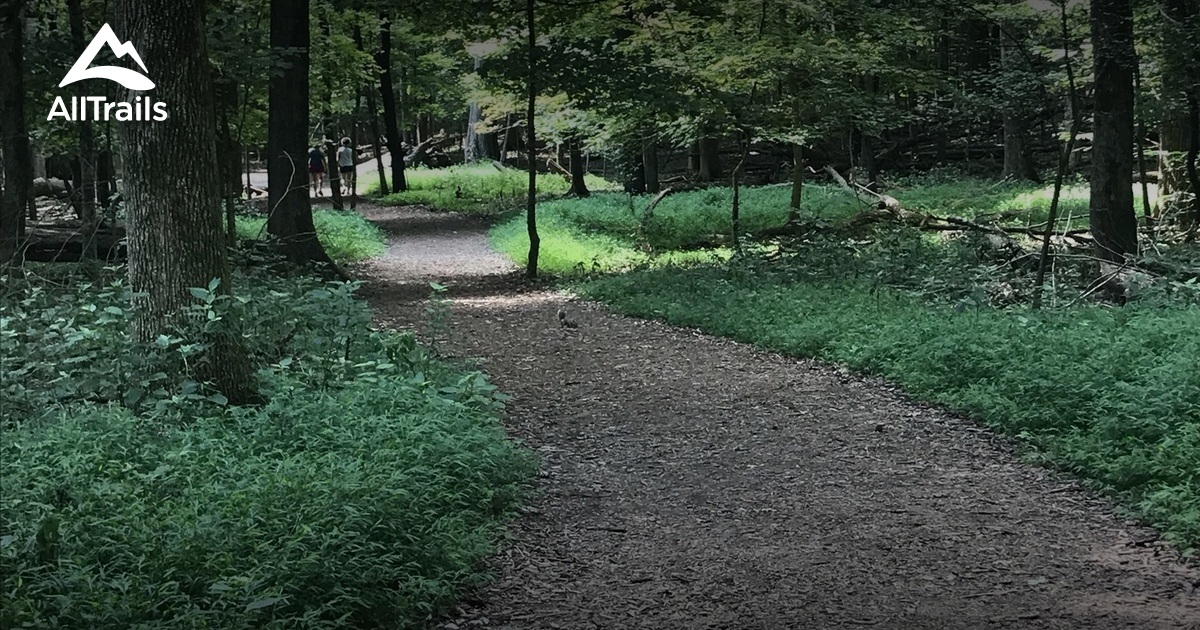 radnor lake | List | AllTrails