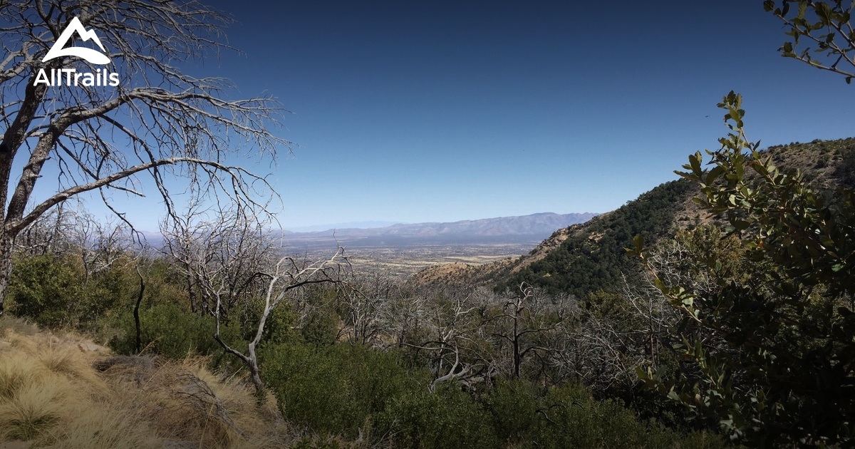 Bird Trails | List | AllTrails