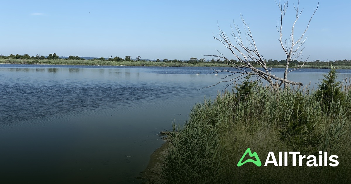 Hiking Trails Near me | List | AllTrails