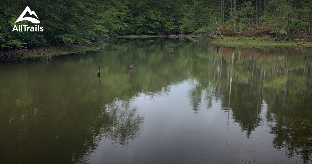 Sewanee | List | AllTrails