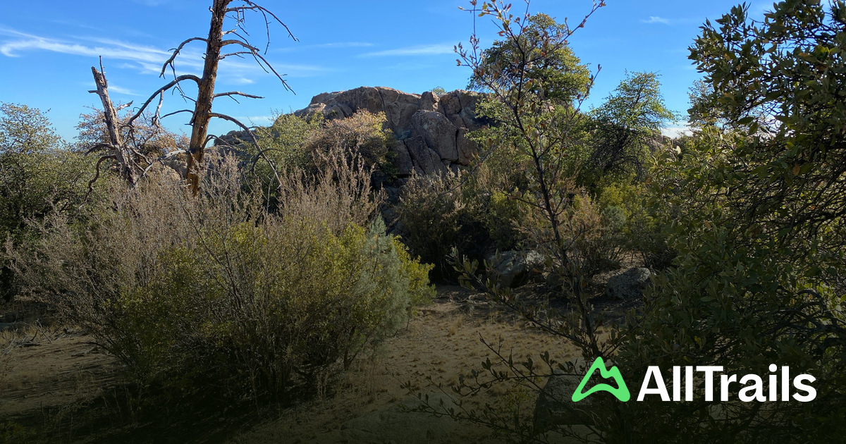 Prescott Area Trails | List | AllTrails