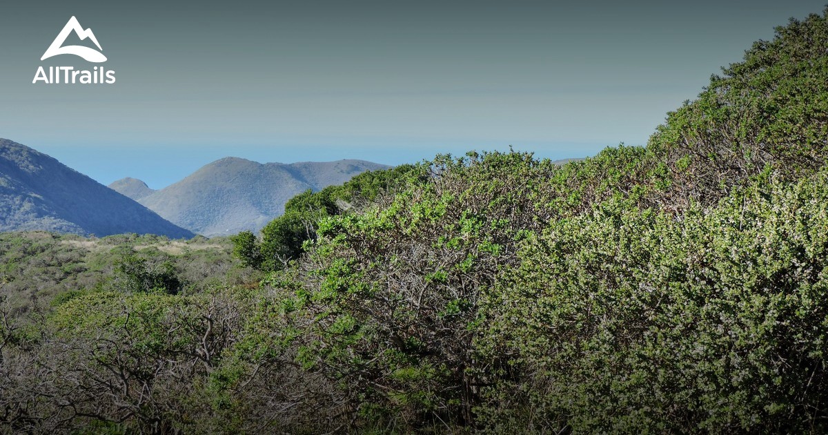 Bay Area Hikes To Do List | List | AllTrails