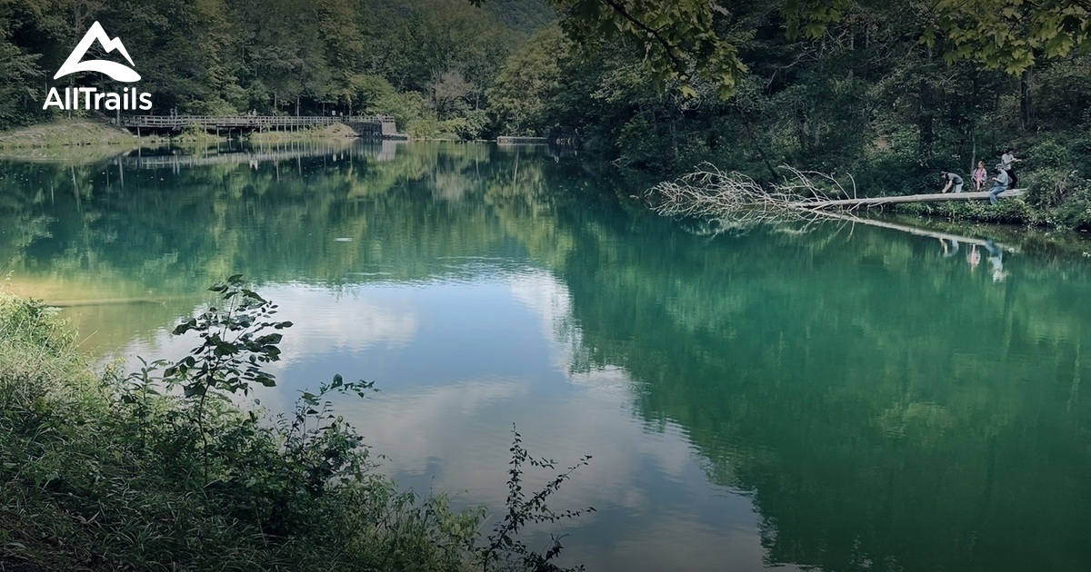 Arkansas Waterfall Road Trip | List | AllTrails