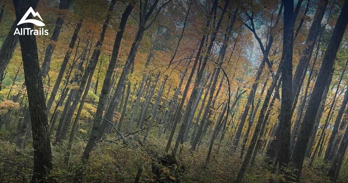 Daniel Boone National Forest | List | AllTrails