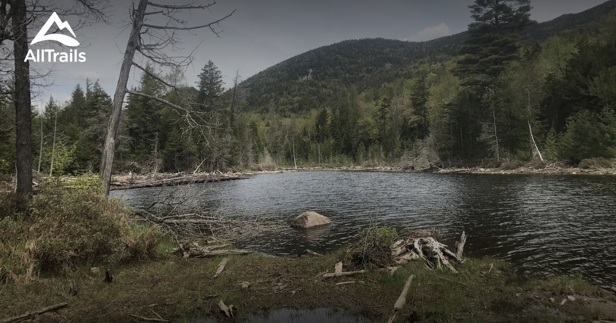 ADK Fire Tower Challenge | List | AllTrails