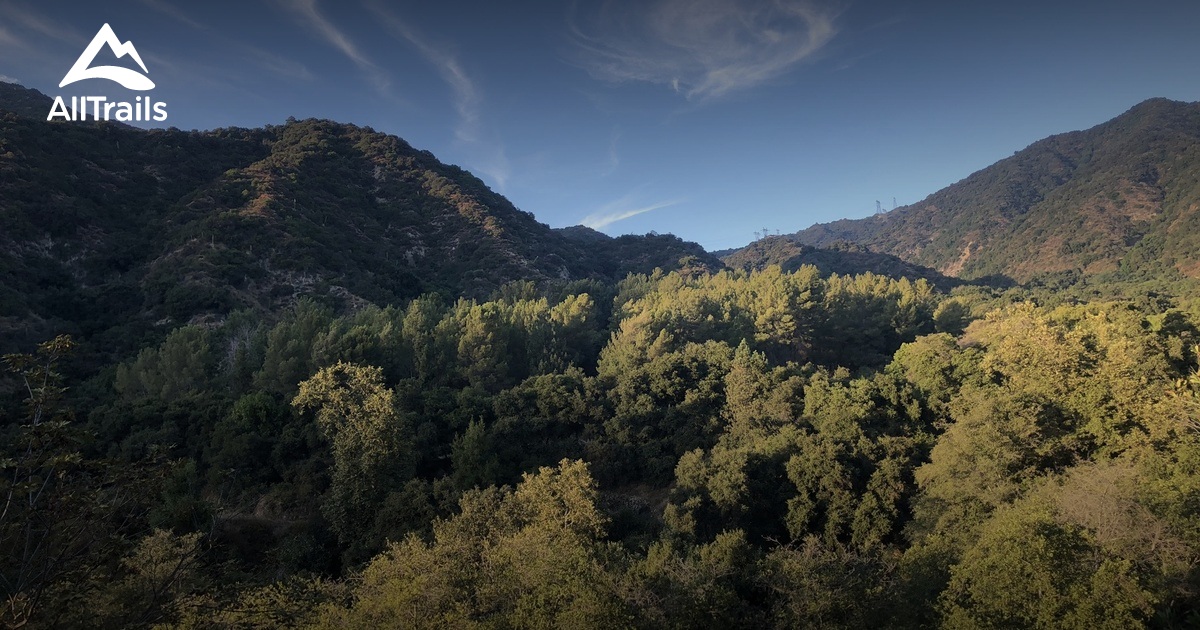 loose trees | List | AllTrails