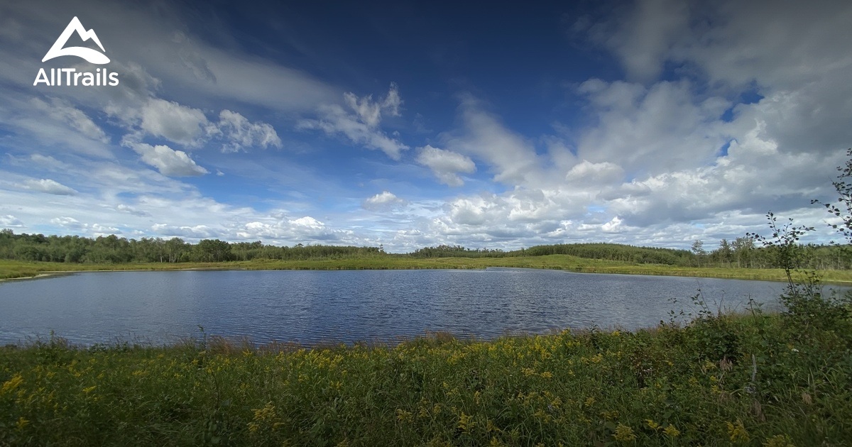 Elk Island | List | AllTrails