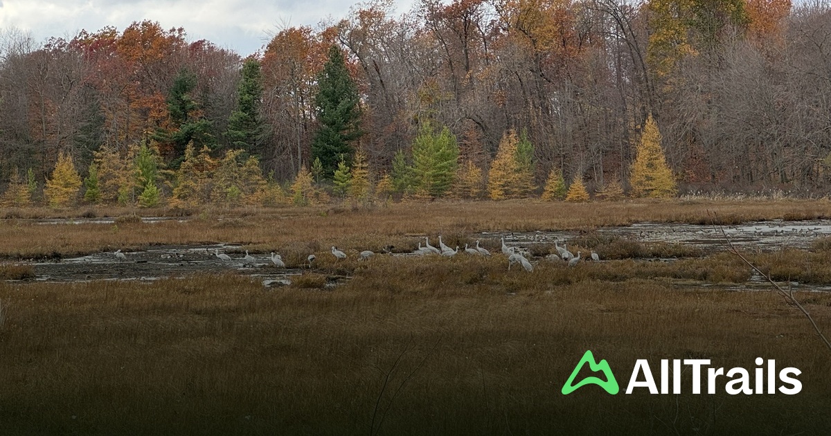 GR Hiking List | List | AllTrails