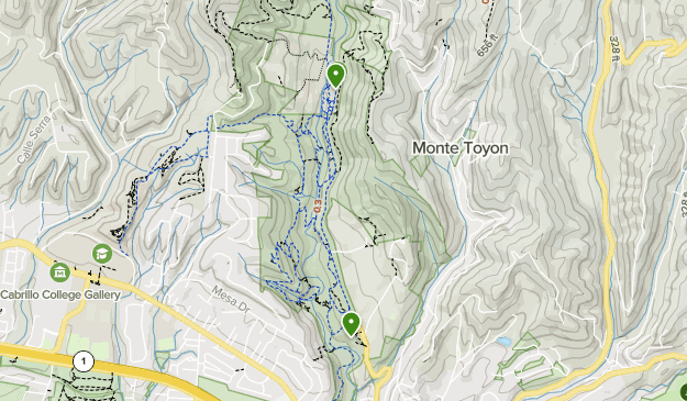 Nisene Marks State Park | List | AllTrails