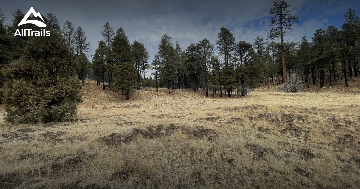 fat man's loop | List | AllTrails